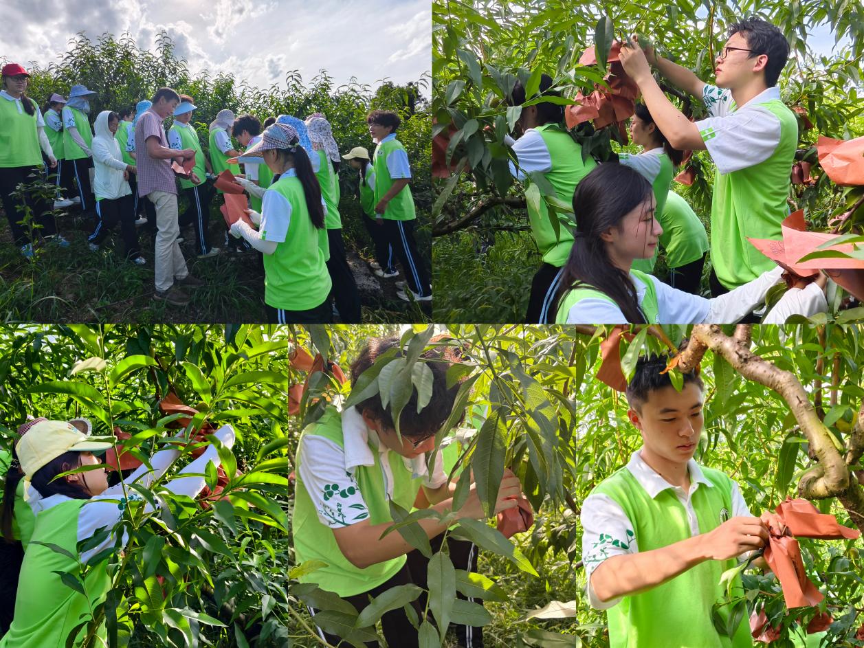 峡医三下乡③：临床医学院峡医暖阳志愿服务团赴万州区长滩镇开展“三下乡”社会实践活动-重庆三峡医药高等专科学校